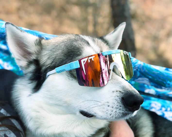 Pit Viper – The Hanger Bike Co